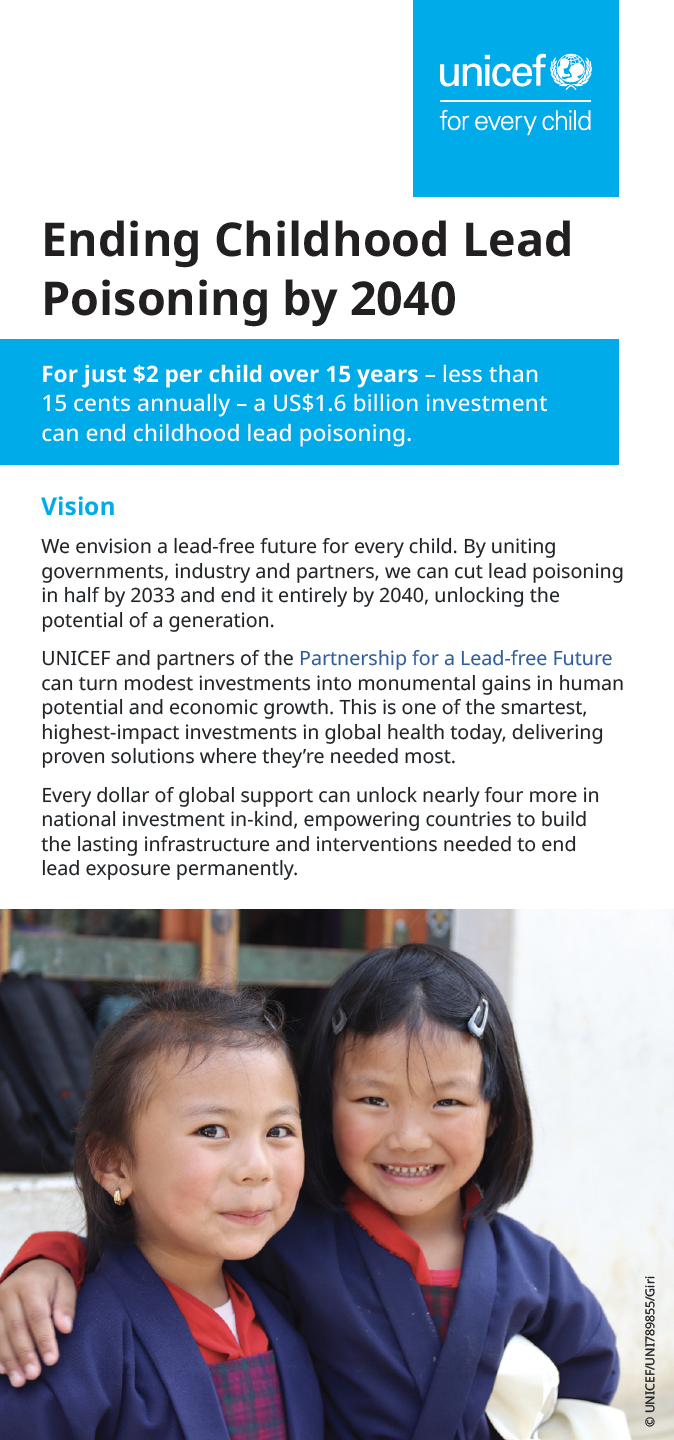 Investment case: Ending Childhood Lead Poisoning by 2040 | Partnership ...