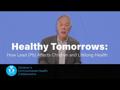 Toolkit to End Childhood Lead Poisoning | Partnership for a lead-free ...