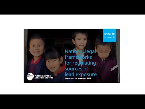 Toolkit to End Childhood Lead Poisoning | Partnership for a lead-free ...